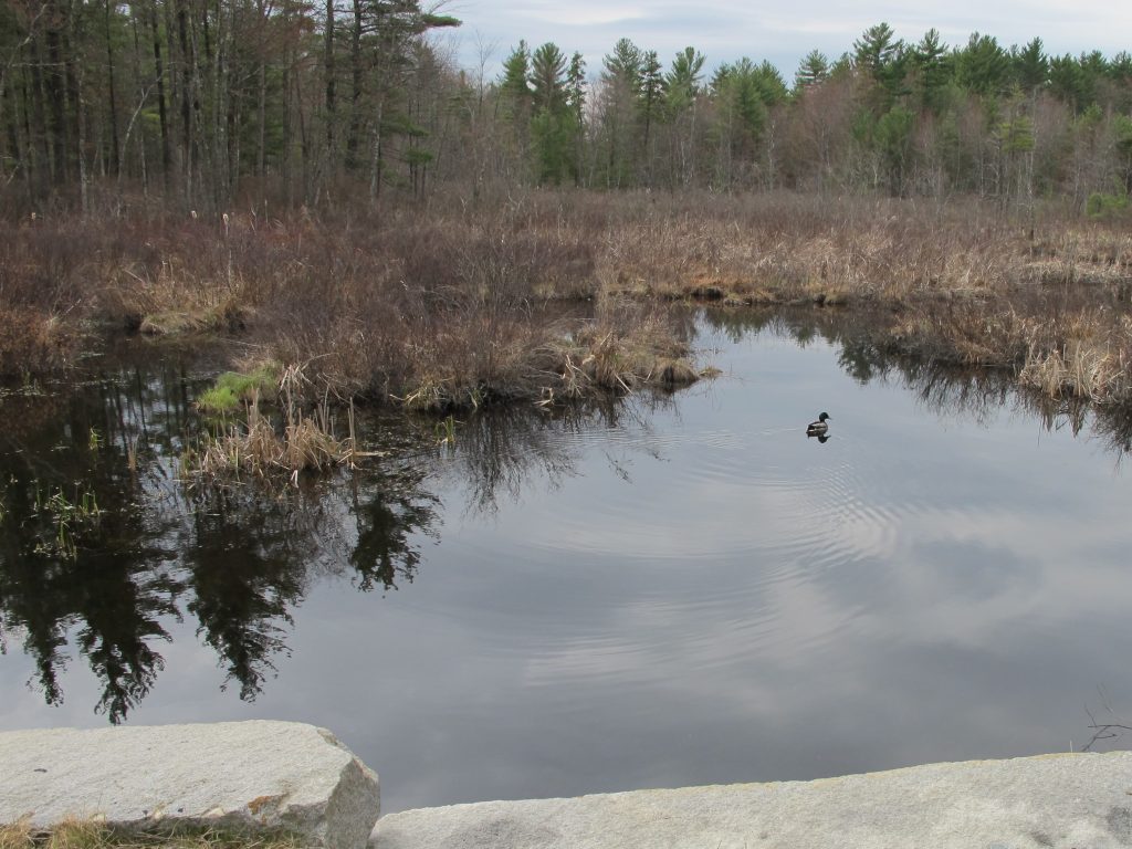 Accessible Watershed Information – Pennichuck
